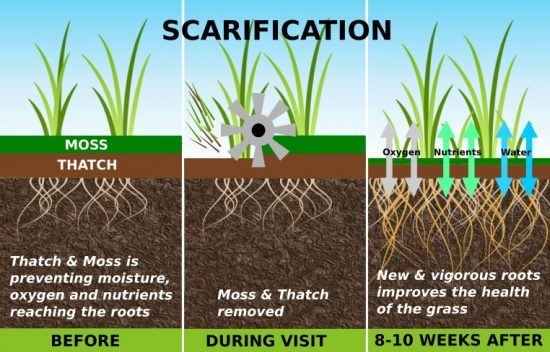 Lawn Control | LawnControl | Professional Lawn Care Services